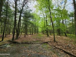 Walker Lake Pennsylvania Lake Homes For Sale and Walker Lake ...