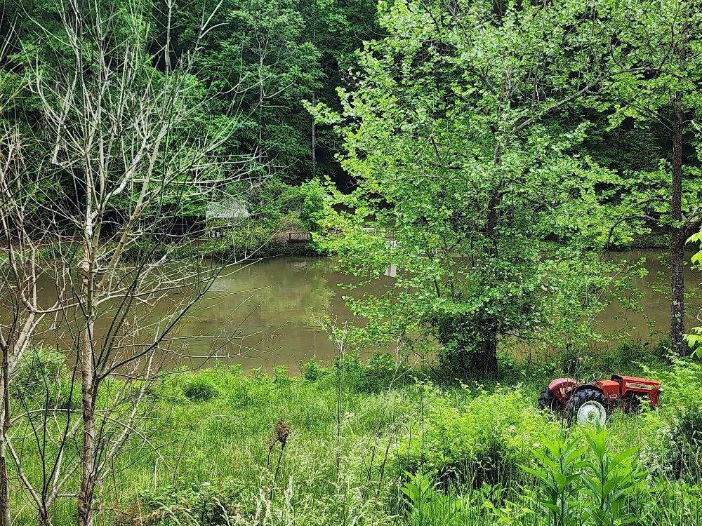 1591 Fishermans Cove RD, Goodview, VA - lhrmls-01641466 - LakeHomes.com