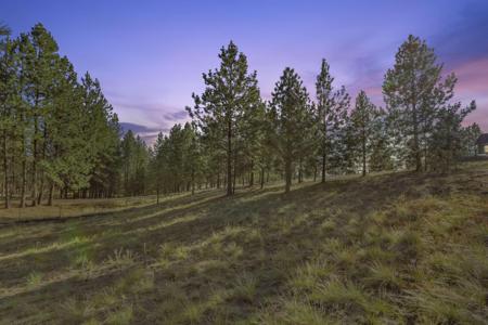 Long Lake - Spokane Washington Lake Homes For Sale and Long Lake ...