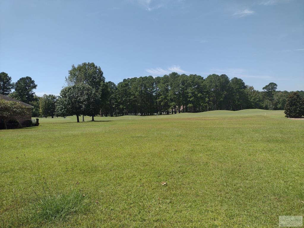 309 Plantation Drive, Manning, SC - lhrmls-01612535 - LakeHomes.com