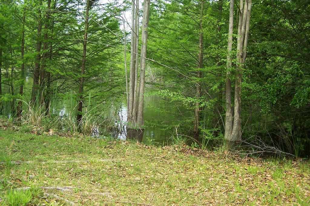 1494 Ralph Bell, Summerton, SC - lhrmls-02991117 - LakeHomes.com