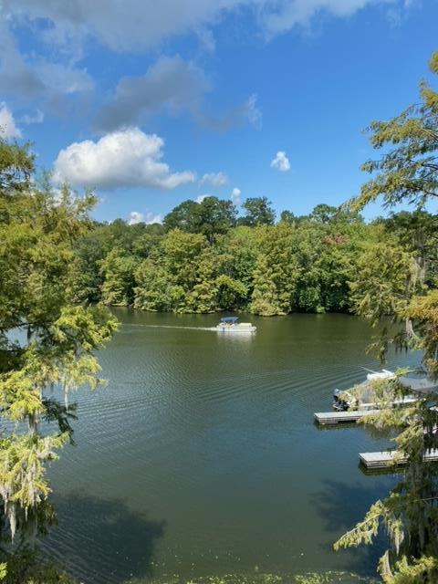 424 Trillium Ct, Santee, SC - lhrmls-01812563 - LakeHomes.com