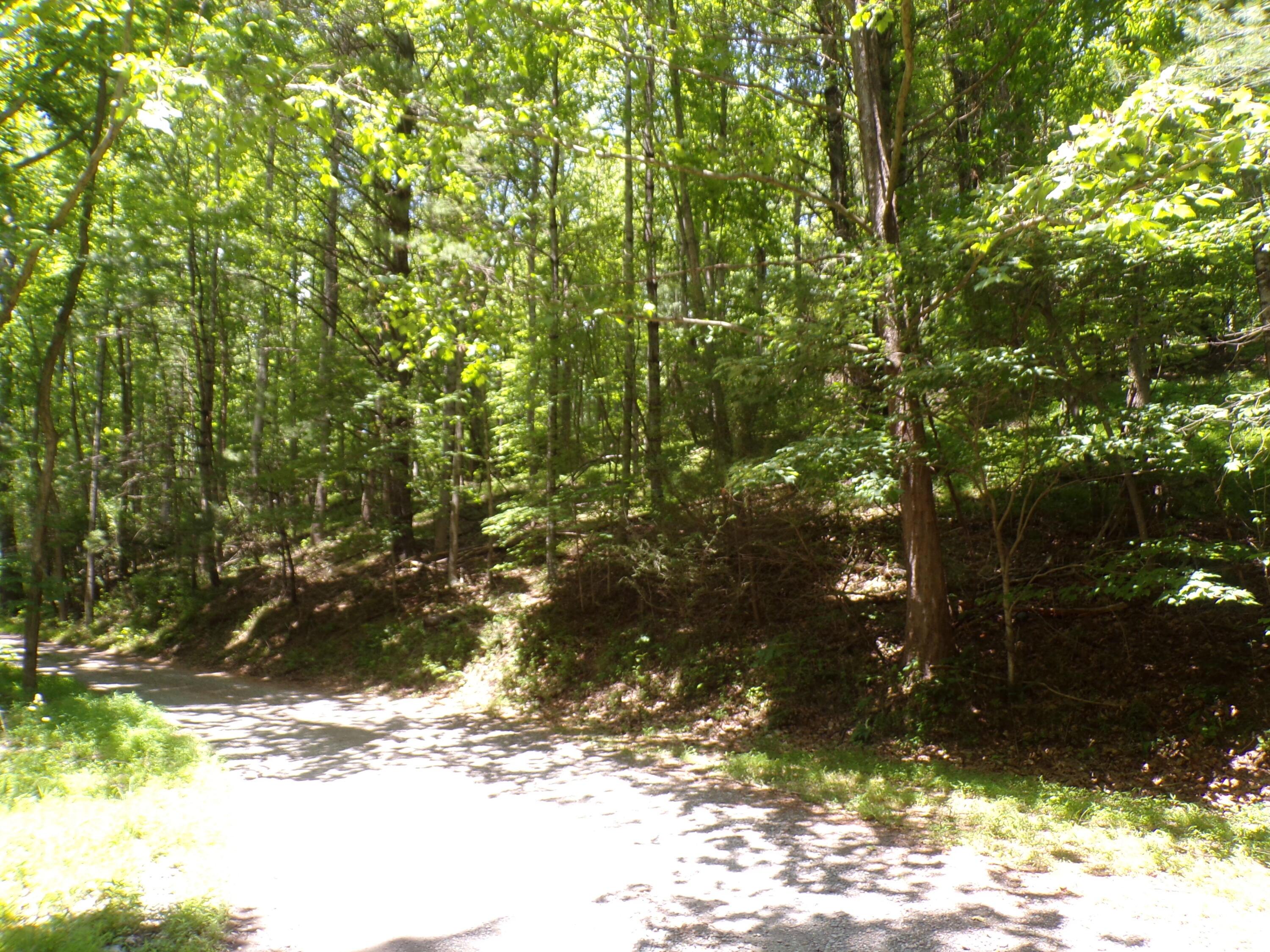 140 Moody Circle, Butler, TN - lhrmls-01665443 - LakeHomes.com