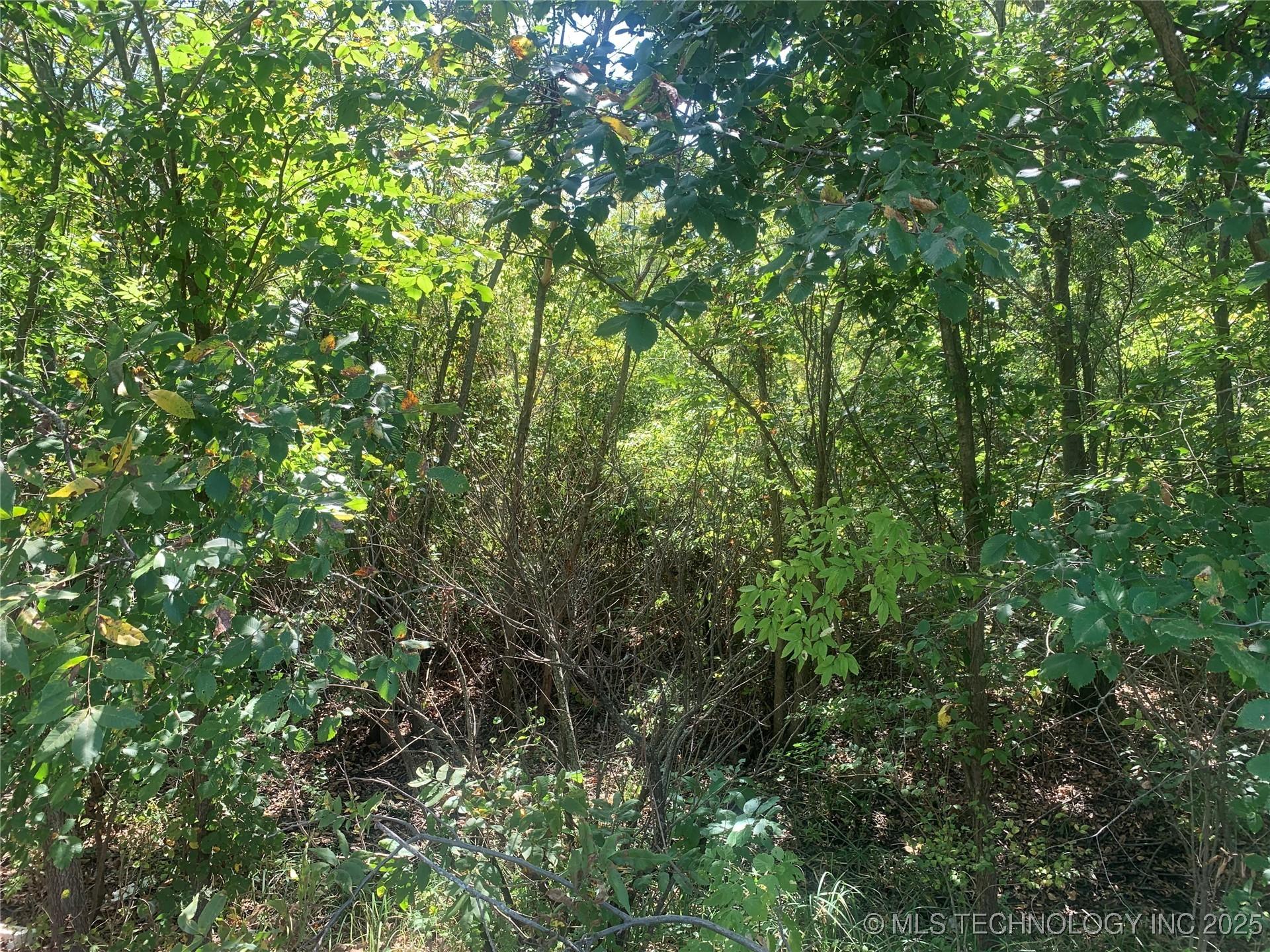 1 Martin Luther King Avenue, Hominy, OK - lhrmls-02648772 - LakeHomes.com