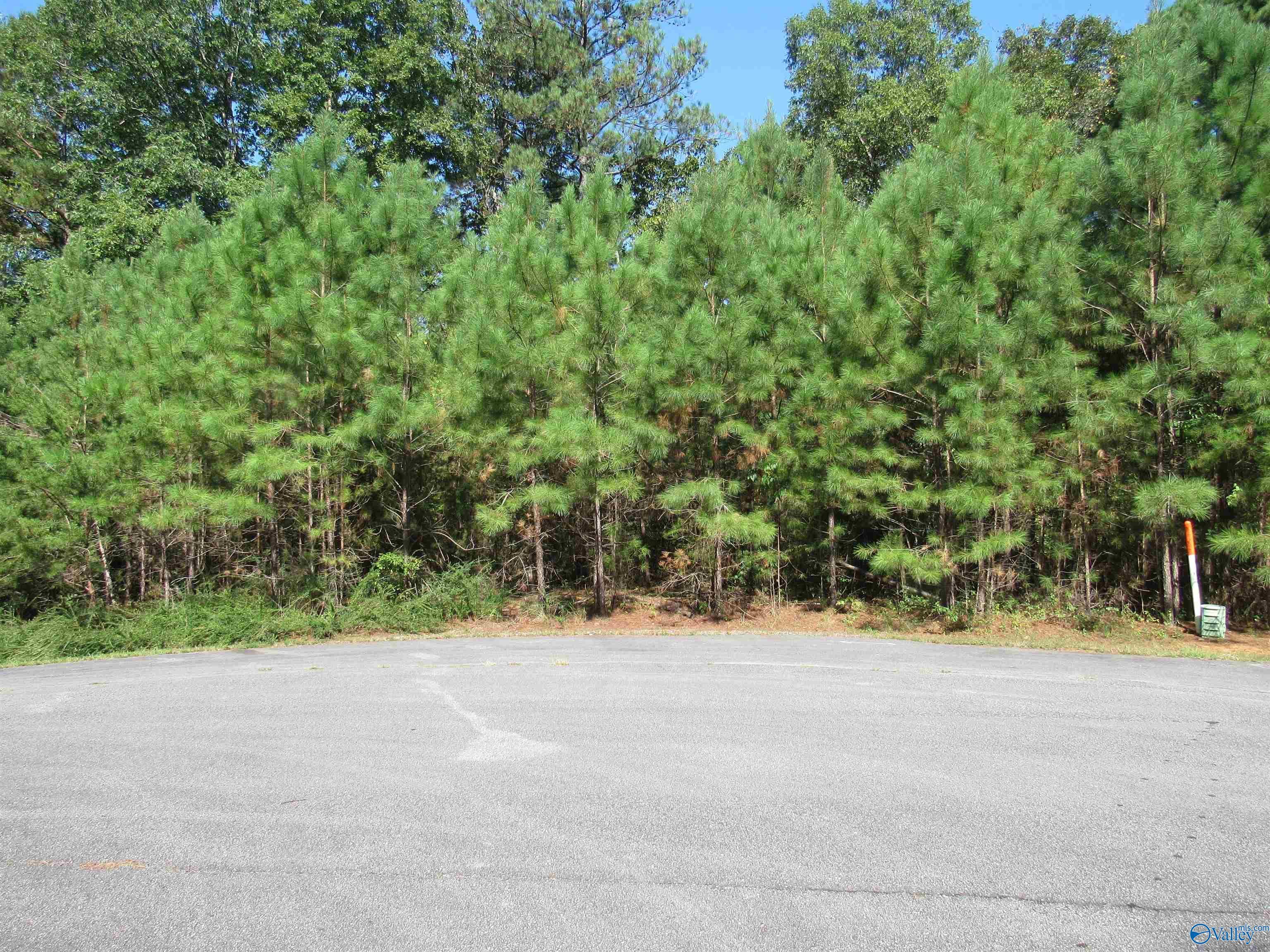 Lot 115 County Road 182, Crane Hill, AL - lhrmls-03724227 - LakeHomes.com