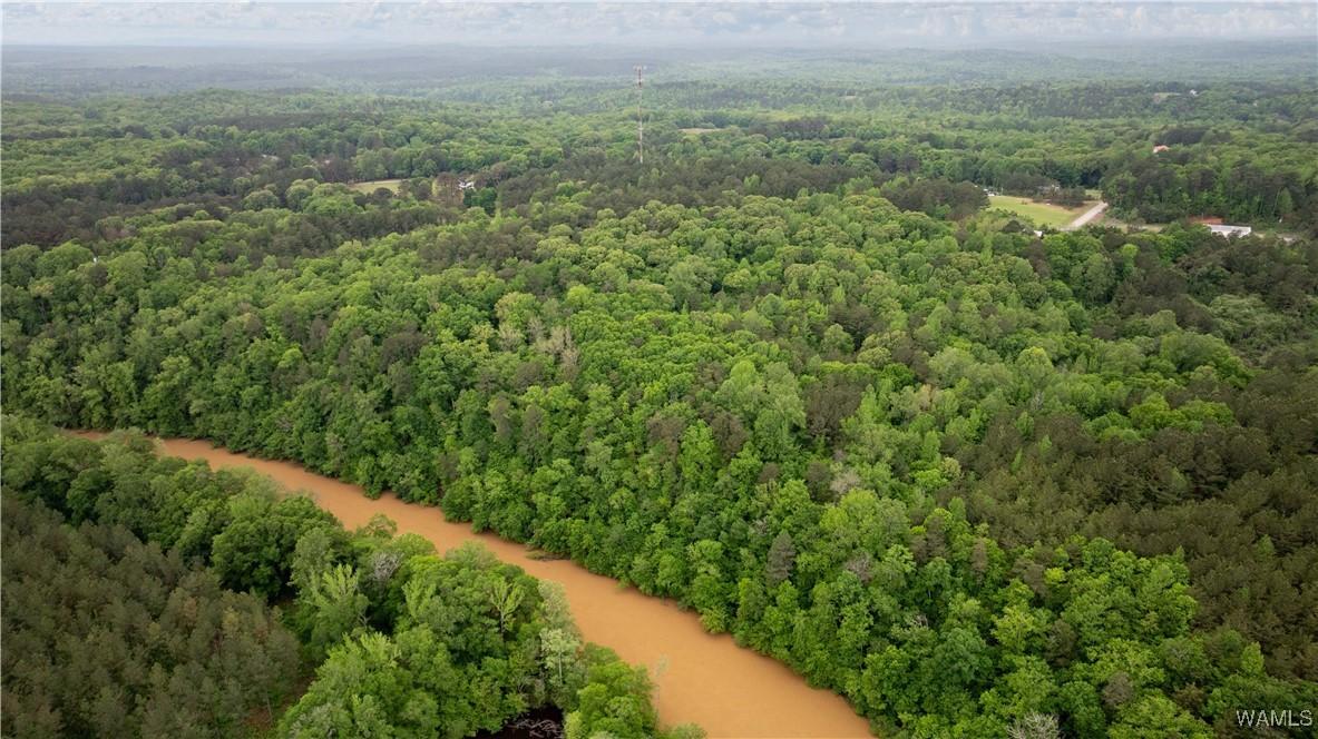 17719 Highway 43 N, Northport, AL - lhrmls-02987483 - LakeHomes.com