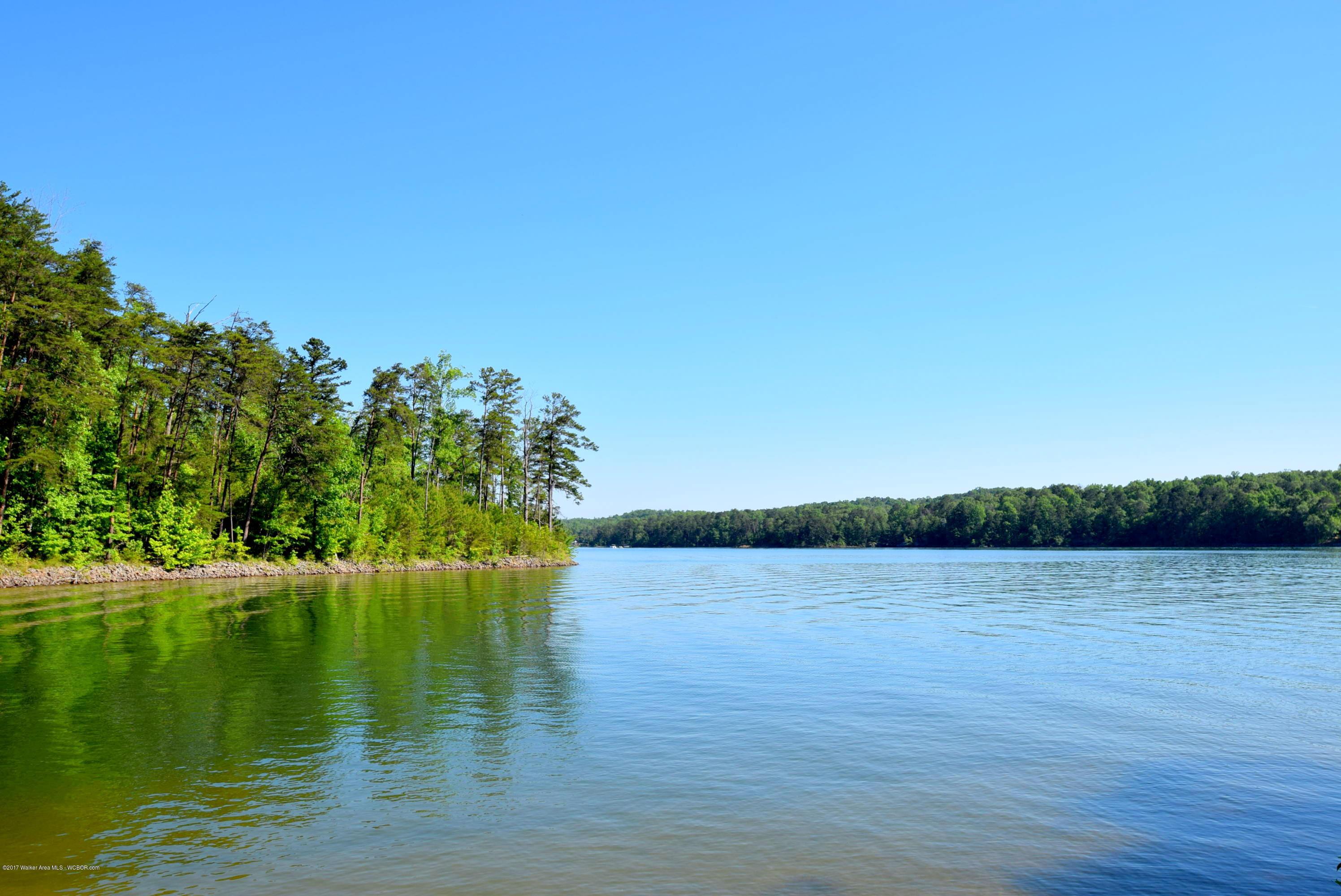 LOT 1 LYNNWOOD ESTATES, Arley, AL - lhrmls-00225535 - LakeHomes.com