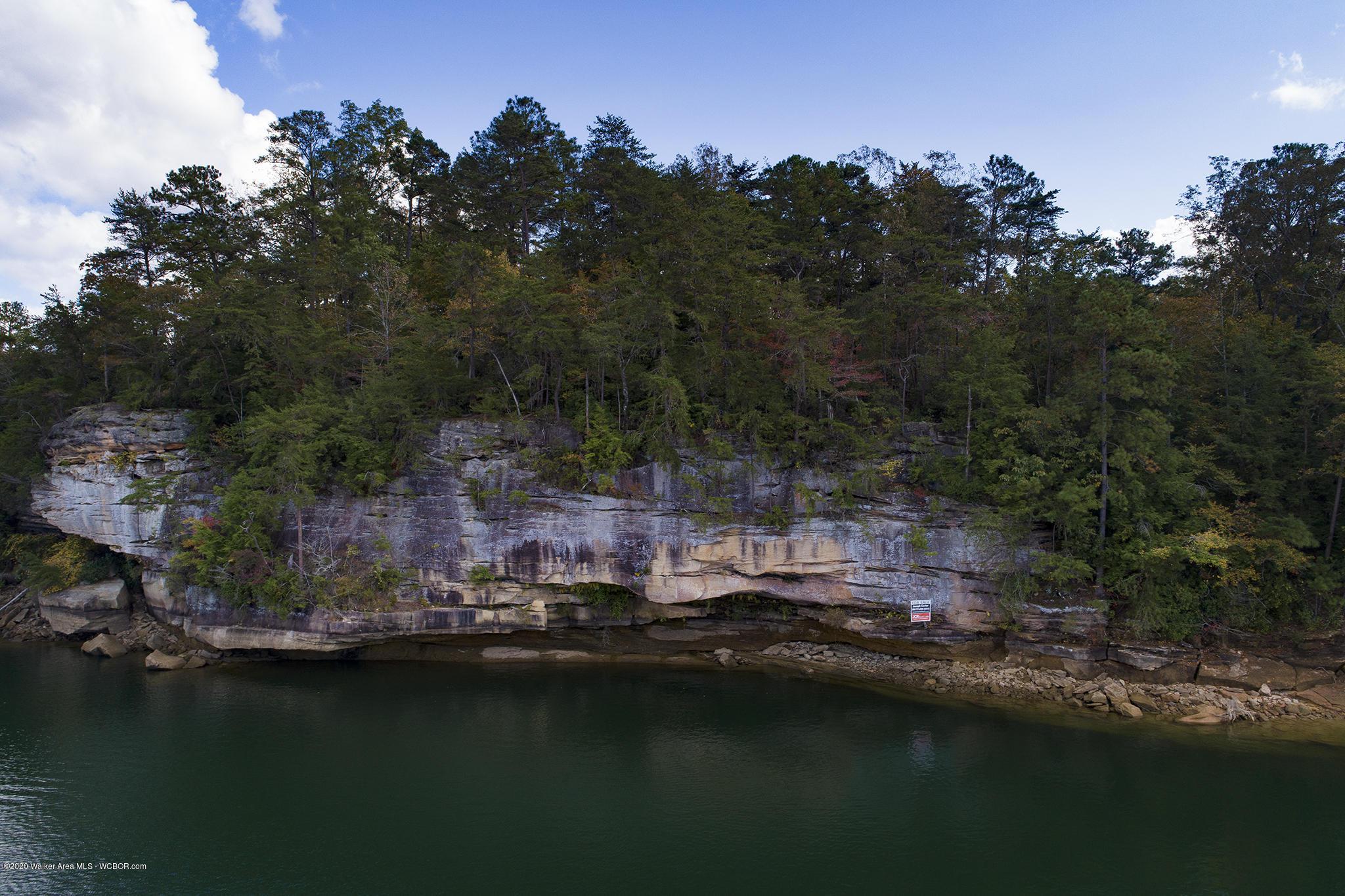 LOTS 45-48 BRUSHY ESTATES, Arley, AL - lhrmls-00342055 - LakeHomes.com