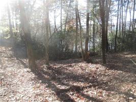 Lake Cherokee South Carolina Lake Homes For Sale and Lake Cherokee ...