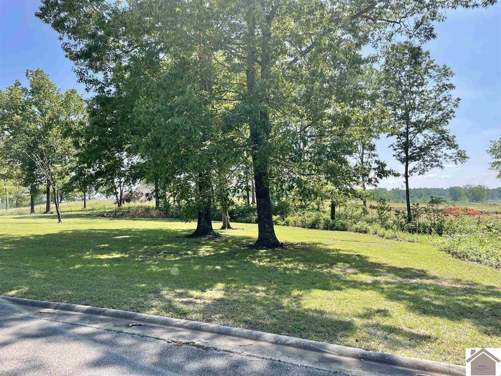 Lot 5 Bay Hill Drive, Benton, KY - lhrmls-01670293 - LakeHomes.com